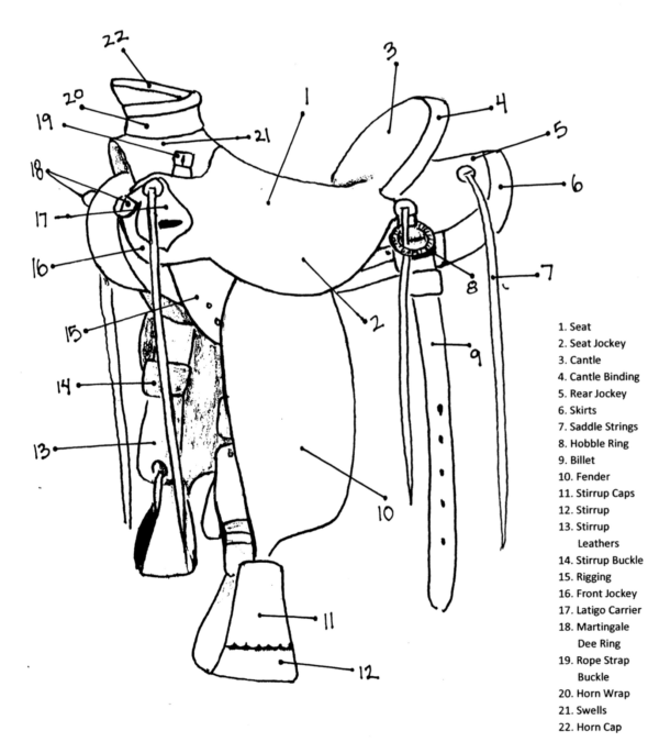 Order A Saddle – Frecker's Saddlery