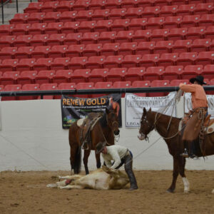 Frecker's Saddlery – Making Saddles That Fit Your Needs