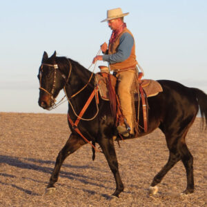 Frecker's Saddlery – Making Saddles That Fit Your Needs
