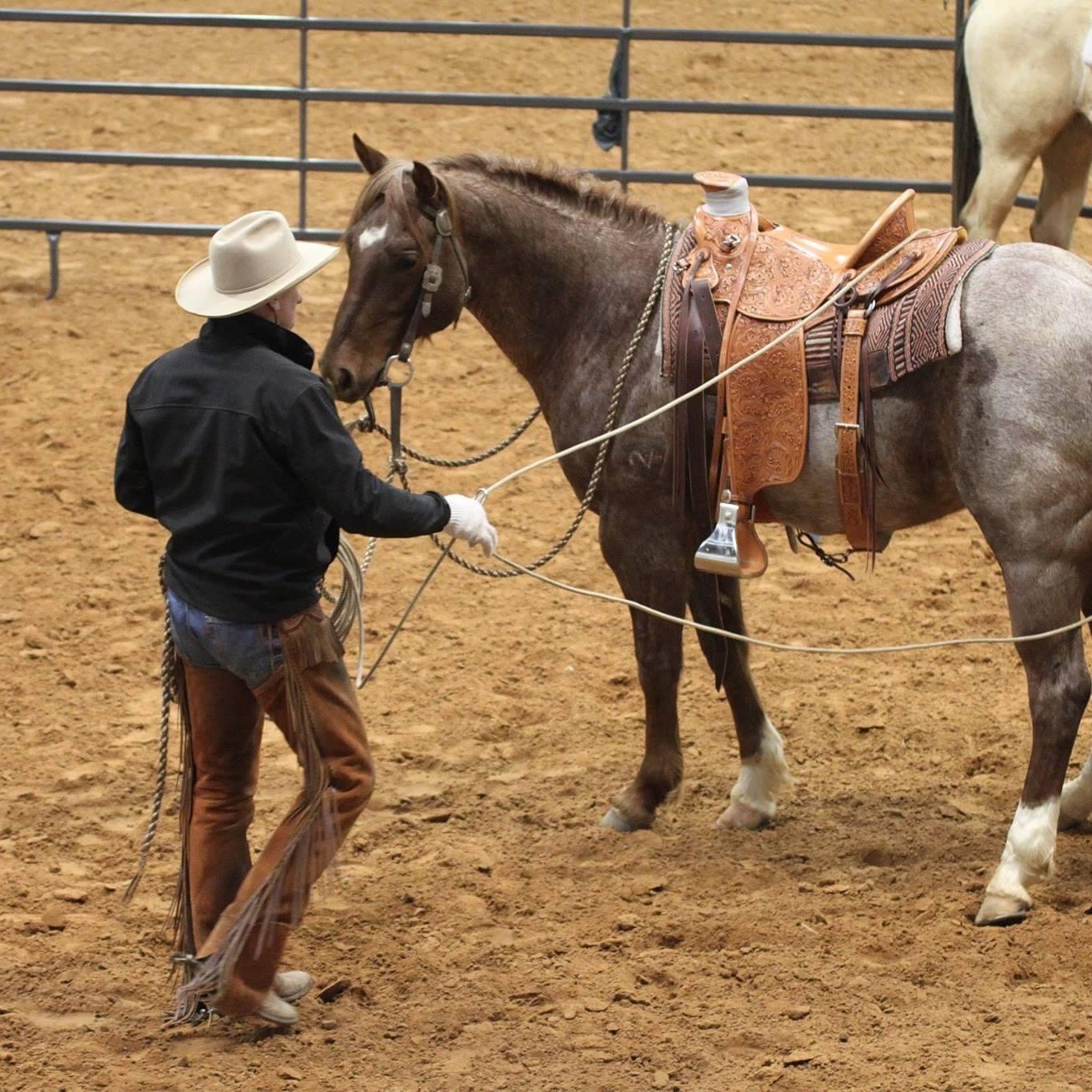 Frecker's Saddlery – Making Saddles That Fit Your Needs